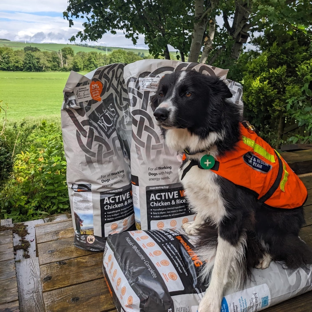 Working Dog Food – Burns Pet Nutrition