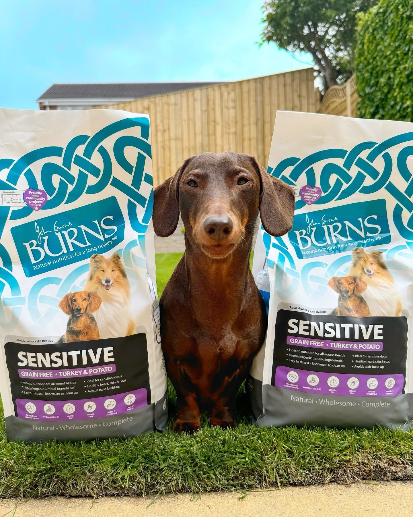 Sensitive Dog Food – Burns Pet Nutrition